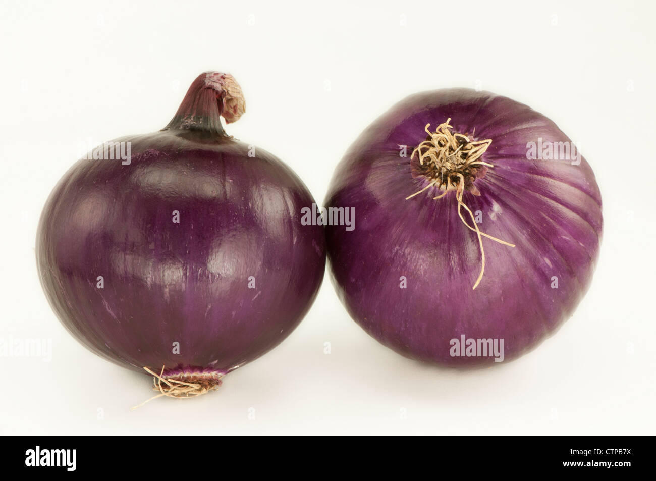 still life of red onions Stock Photo - Alamy