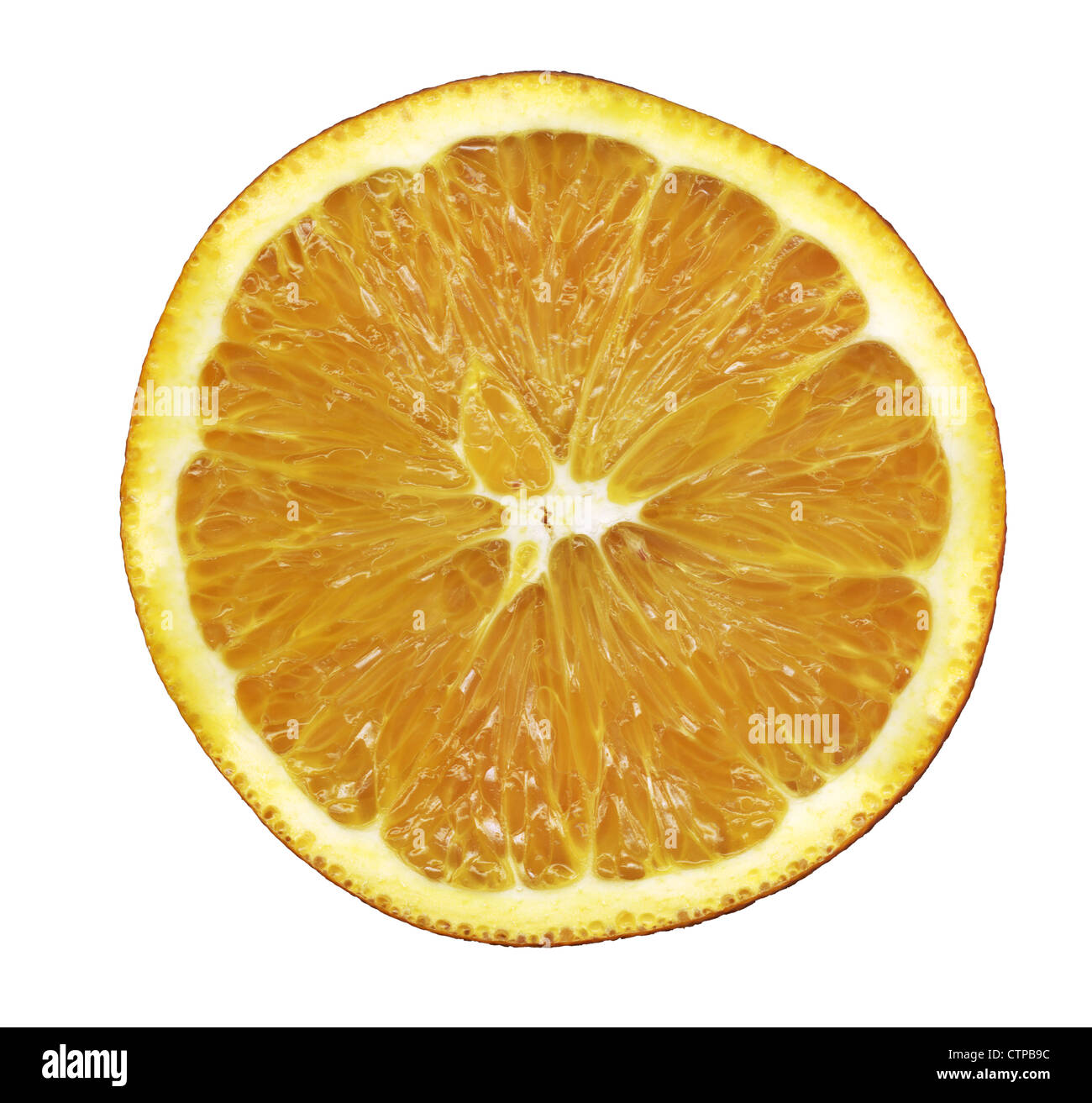 Cross section slice Cut Out Stock Images & Pictures - Alamy