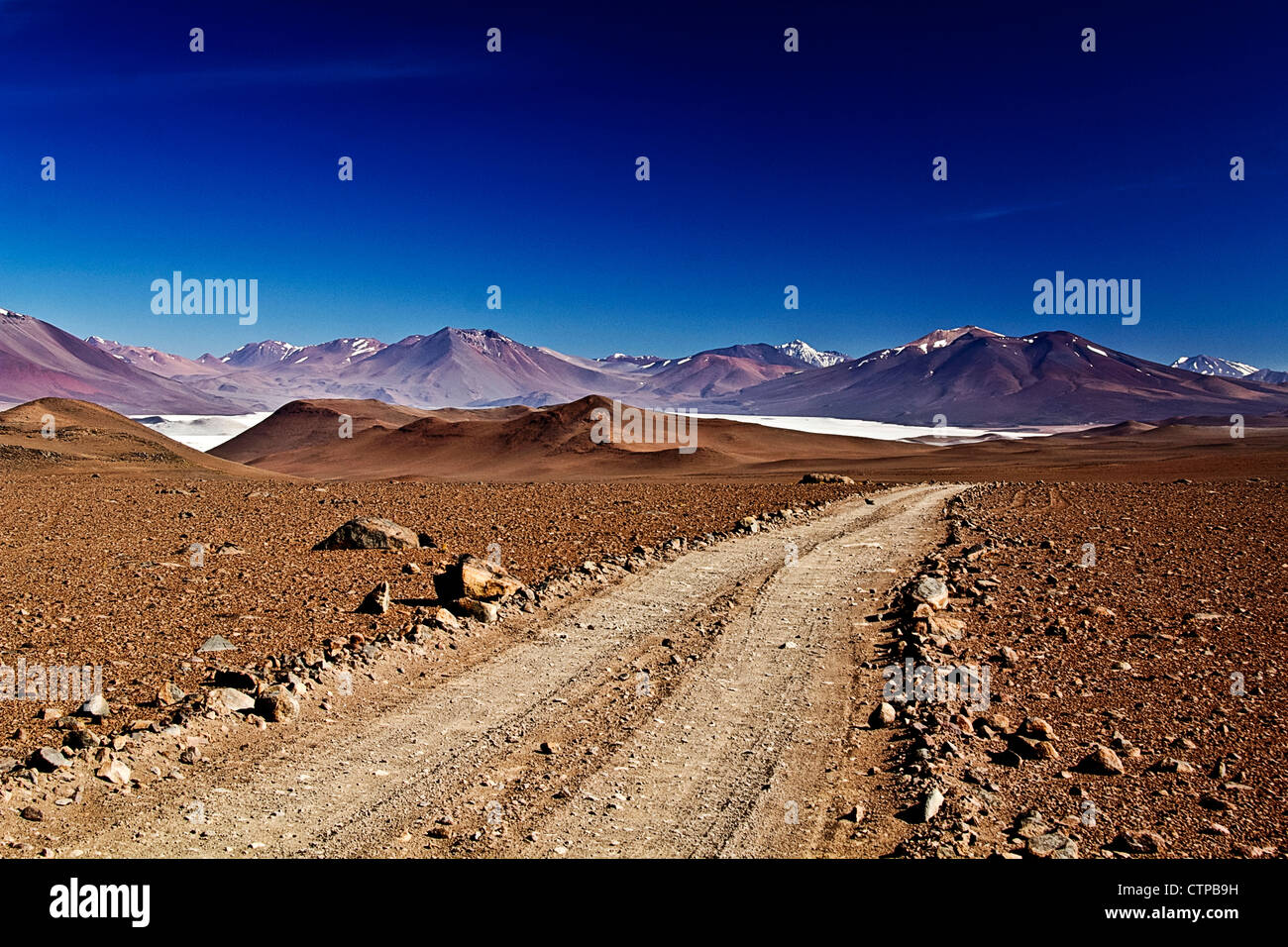 Road to Llullaillaco salar in Salta, Argentina Stock Photo - Alamy