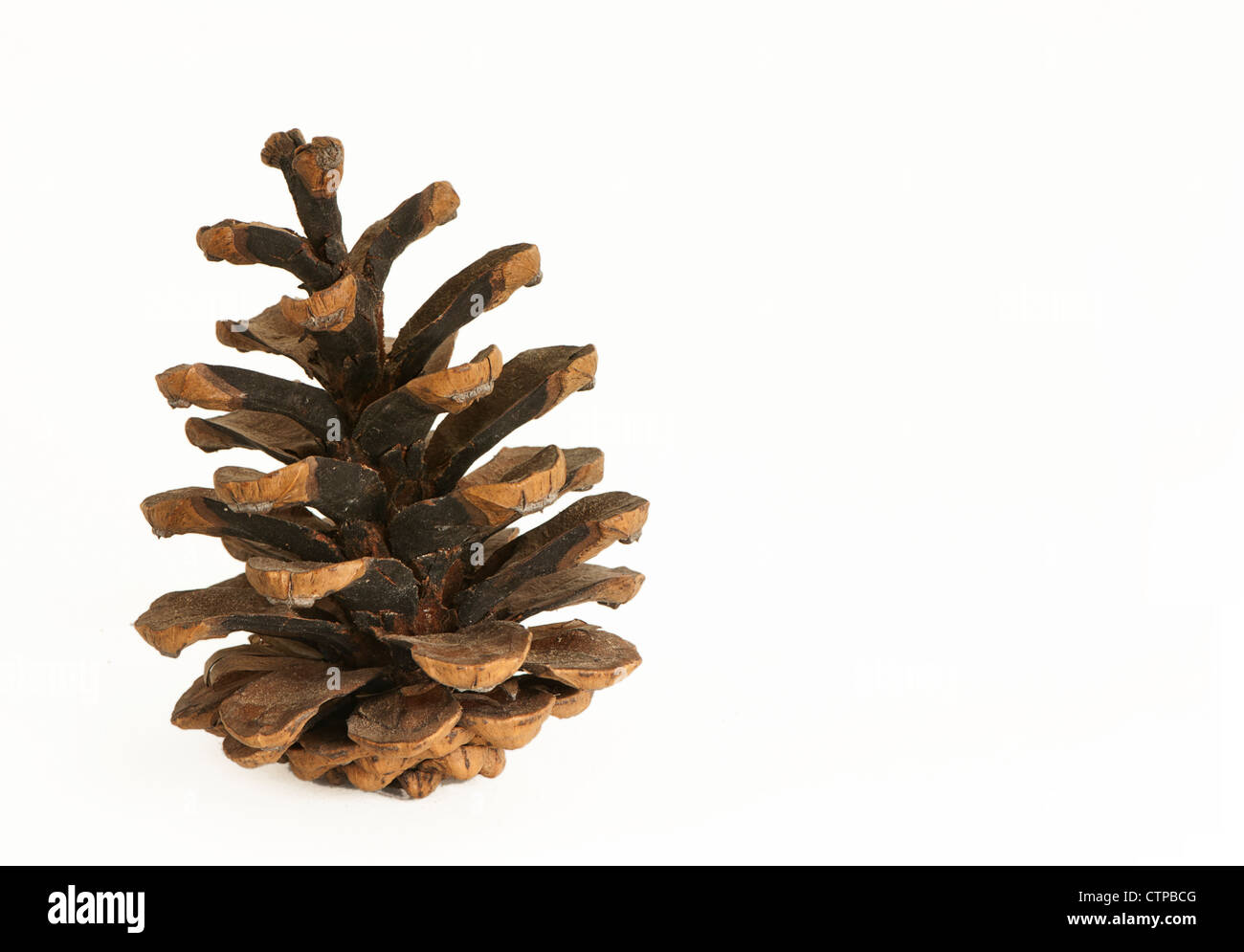 Horizontal cone hi-res stock photography and images - Alamy