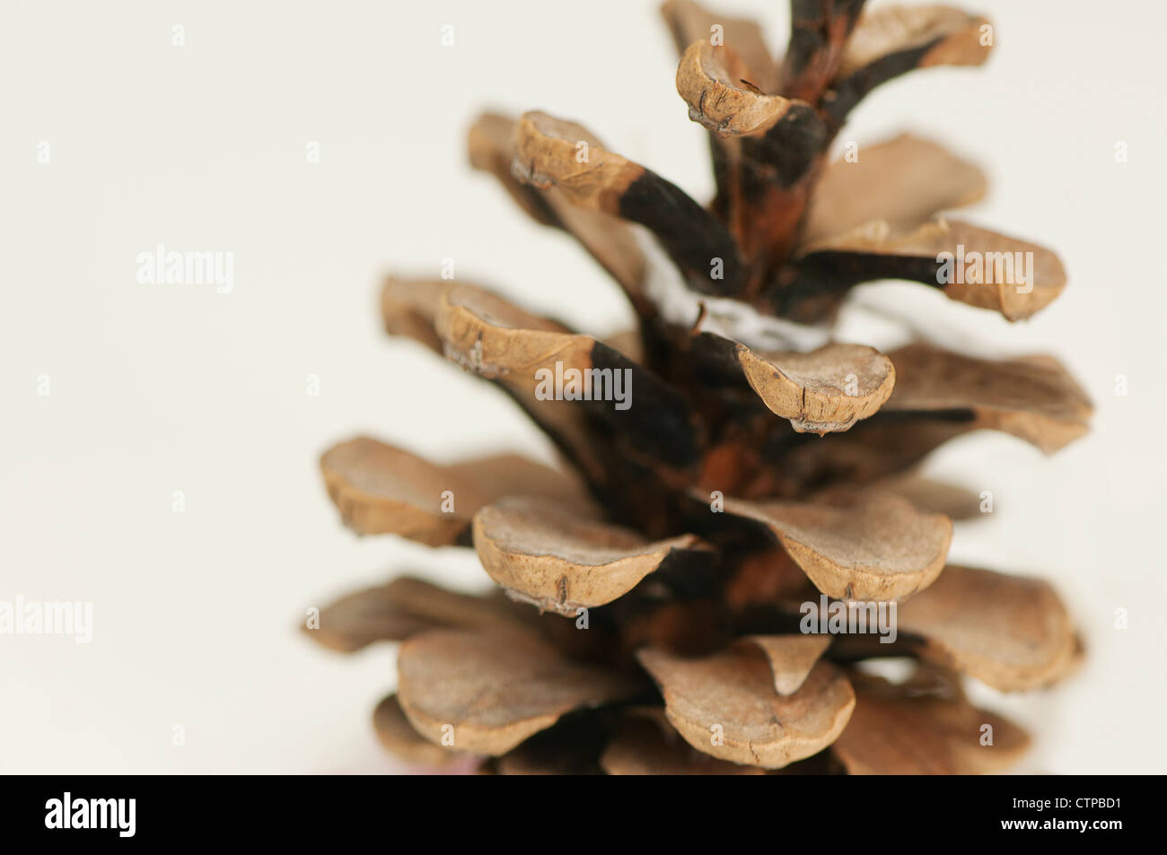 Horizontal cone hi-res stock photography and images - Alamy