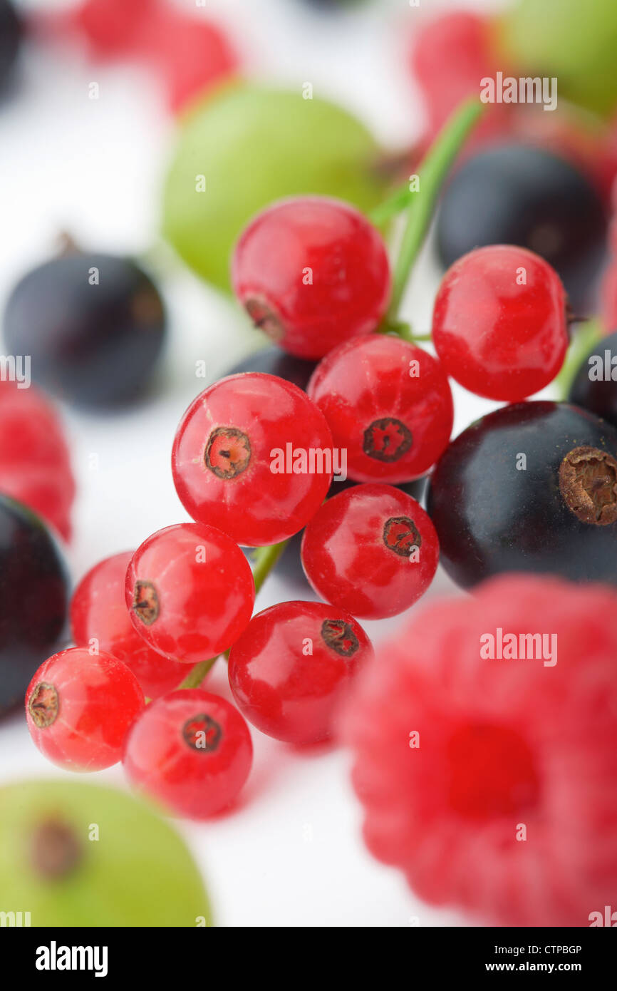 Spilled mixed berries on white background whith a raspberry in the ...