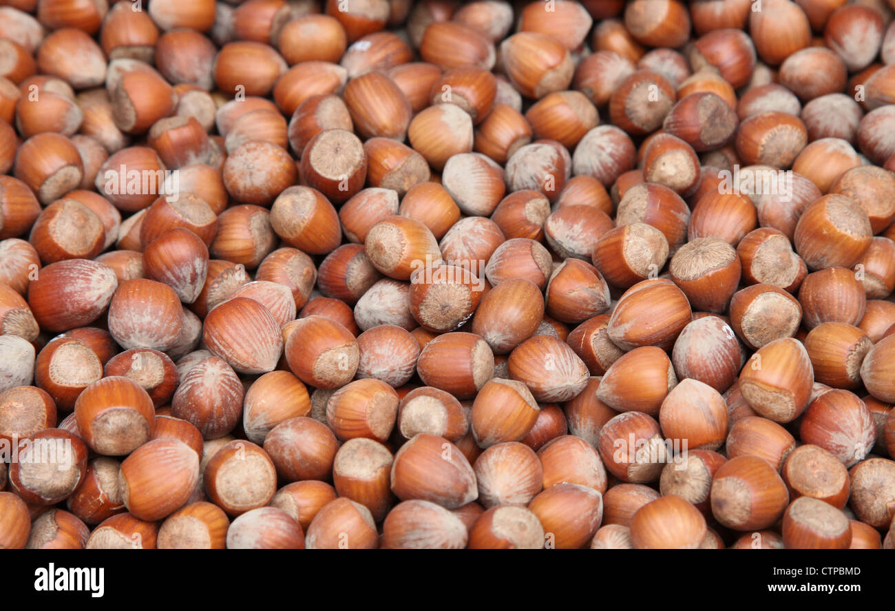 Fresh Hazelnuts in their shells for sale at a street market Stock Photo ...