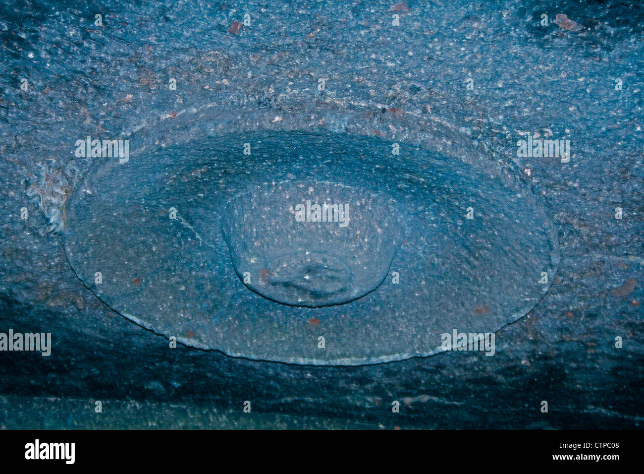 Gandhar Pale Buddhist caves situated near Mahad, India Stock Photo - Alamy