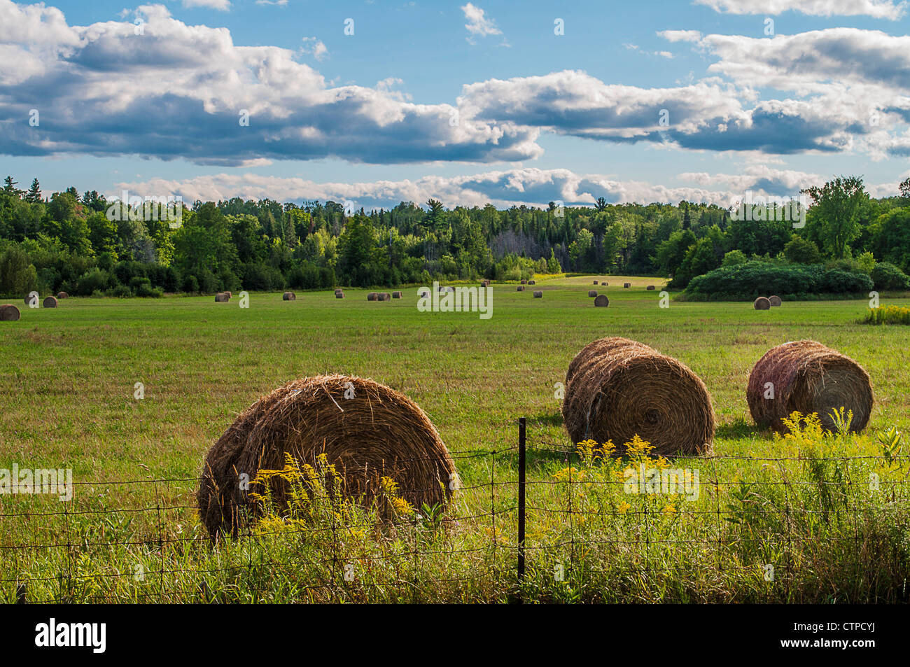 Bucolic scene hi-res stock photography and images - Alamy