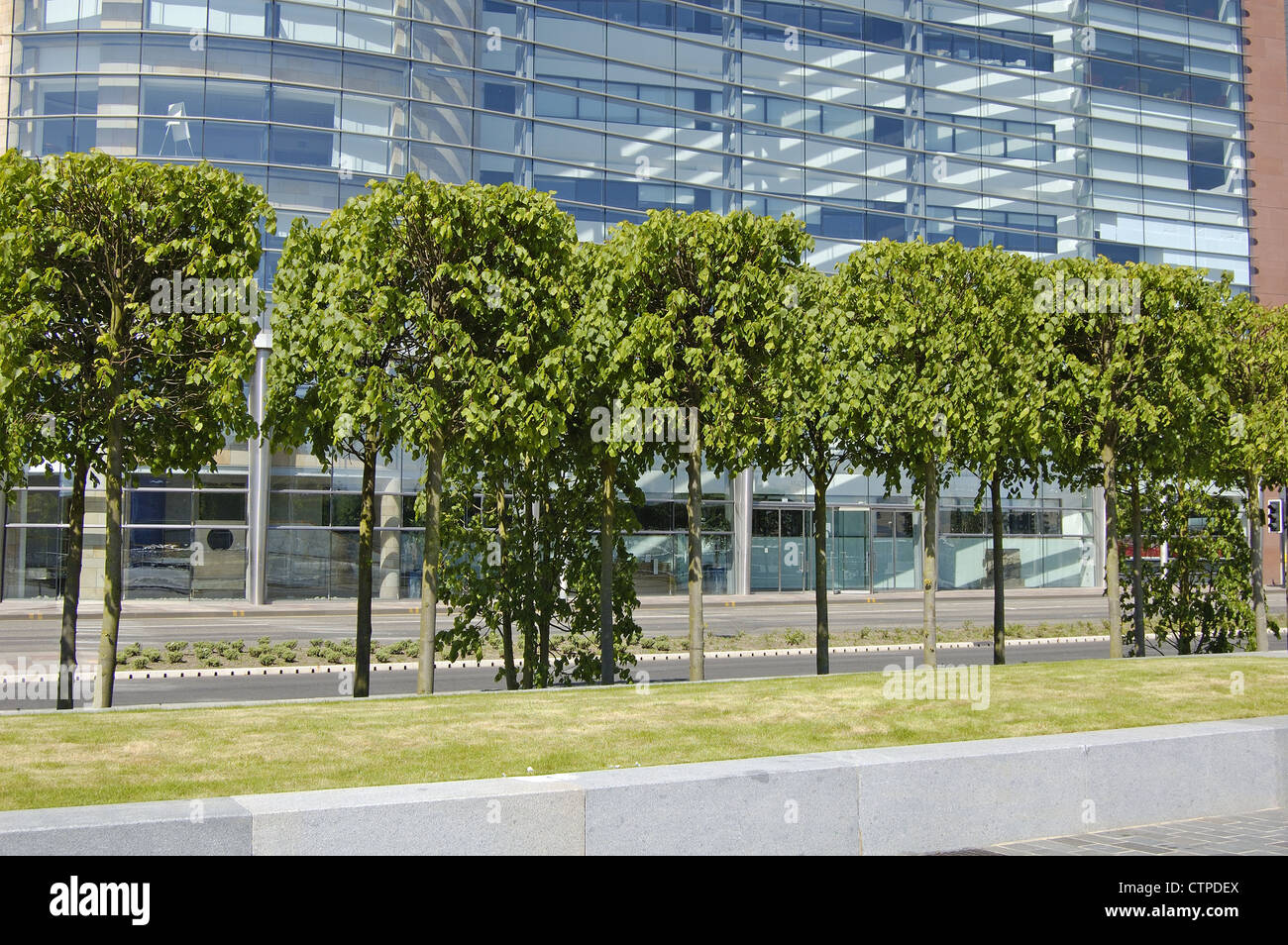 Shaped trees and street in front of modern office building Stock Photo ...