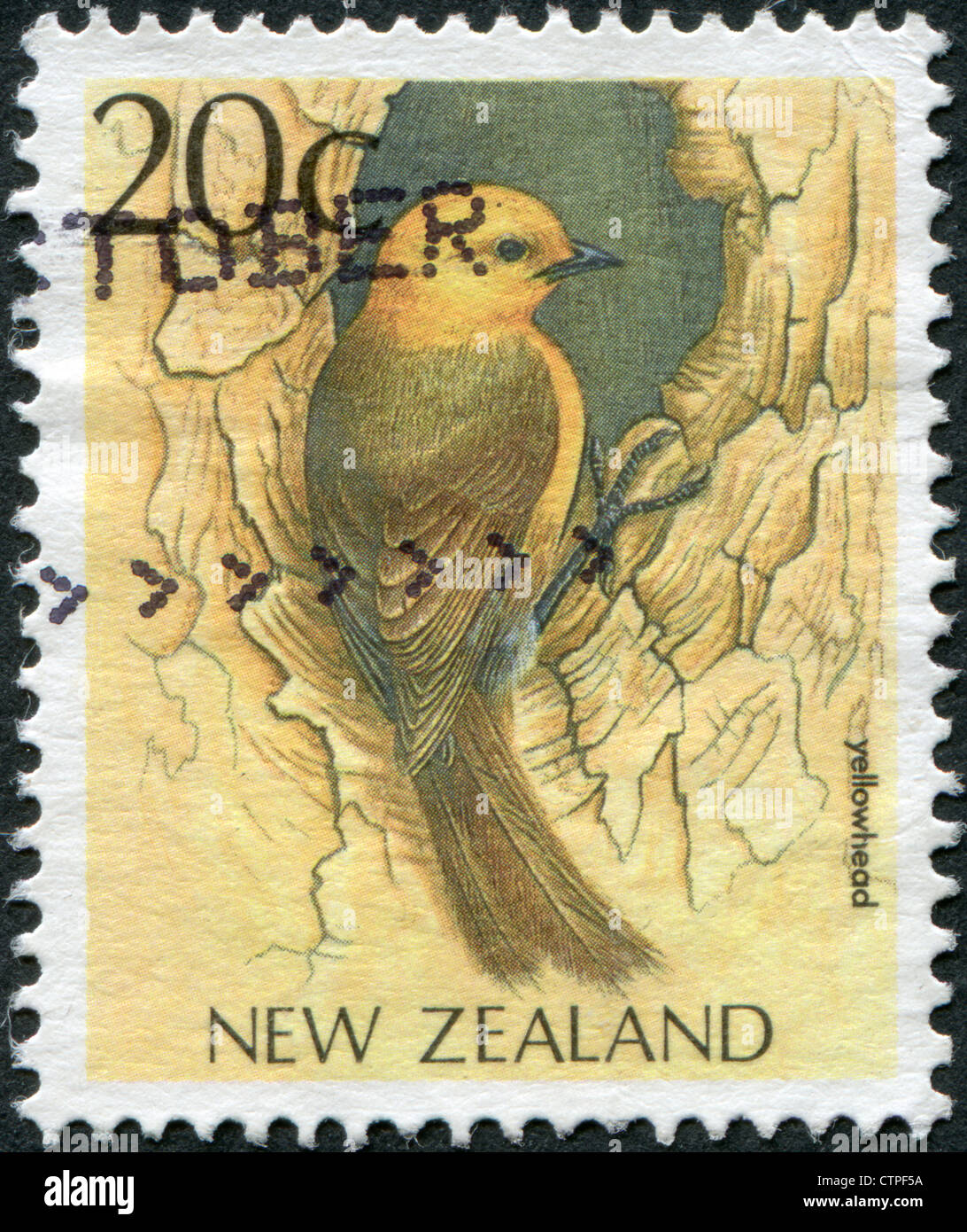 NEW ZEALAND - CIRCA 1988: Postage stamps printed in New Zealand, shows ...
