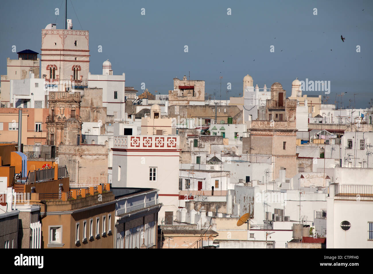 City of Cadiz, Spain. Aerial rooftop view of Cadiz with Tavira Tower on ...