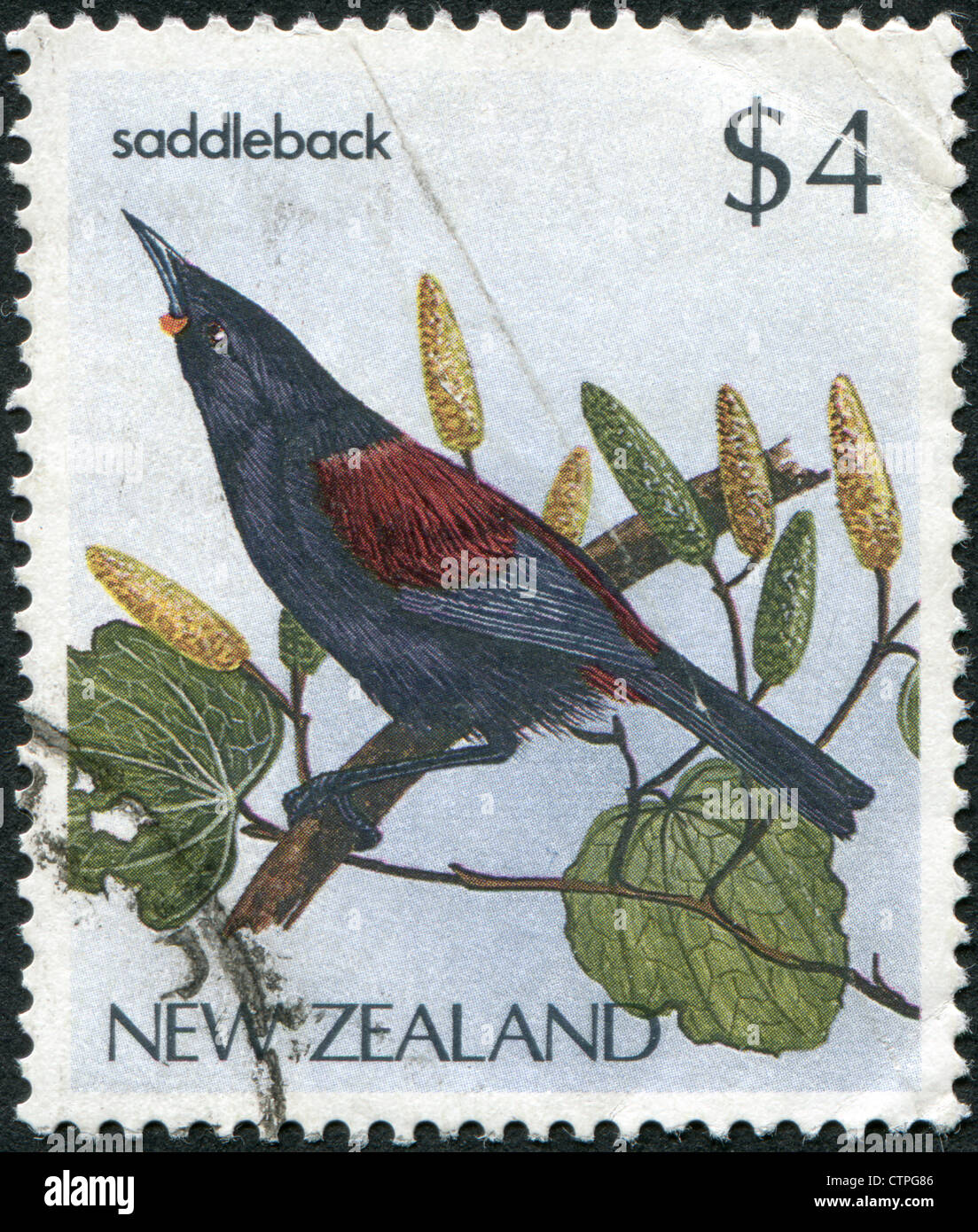 NEW ZEALAND - CIRCA 1986: Postage stamps printed in New Zealand, shows ...