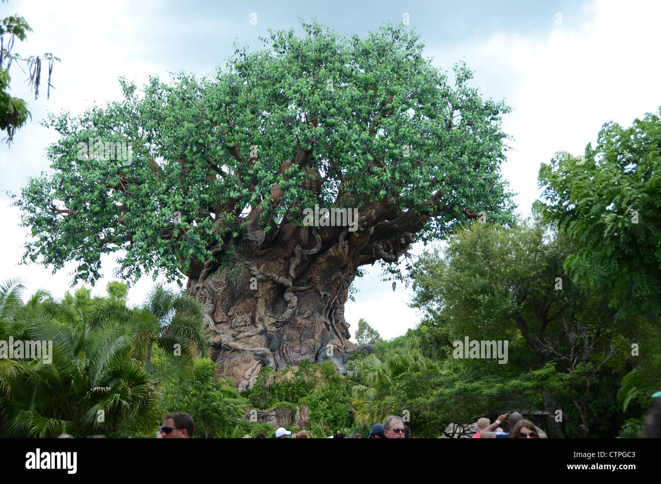 Tree of life at Disney's Animal Kingdom Orlando Florida Stock Photo - Alamy