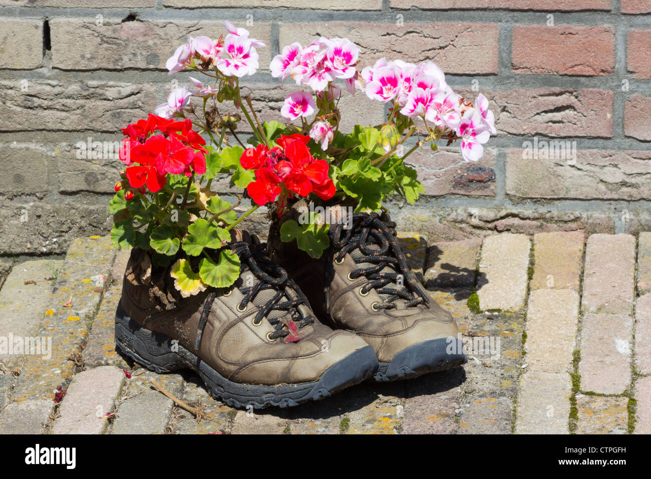 Pair of shoes with flowers Stock Photo - Alamy