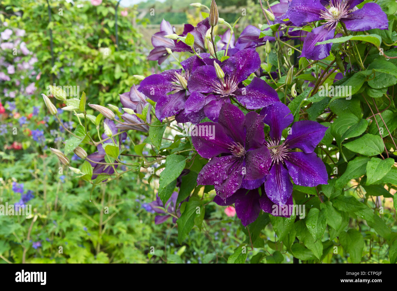 Horizontal president hi-res stock photography and images - Alamy