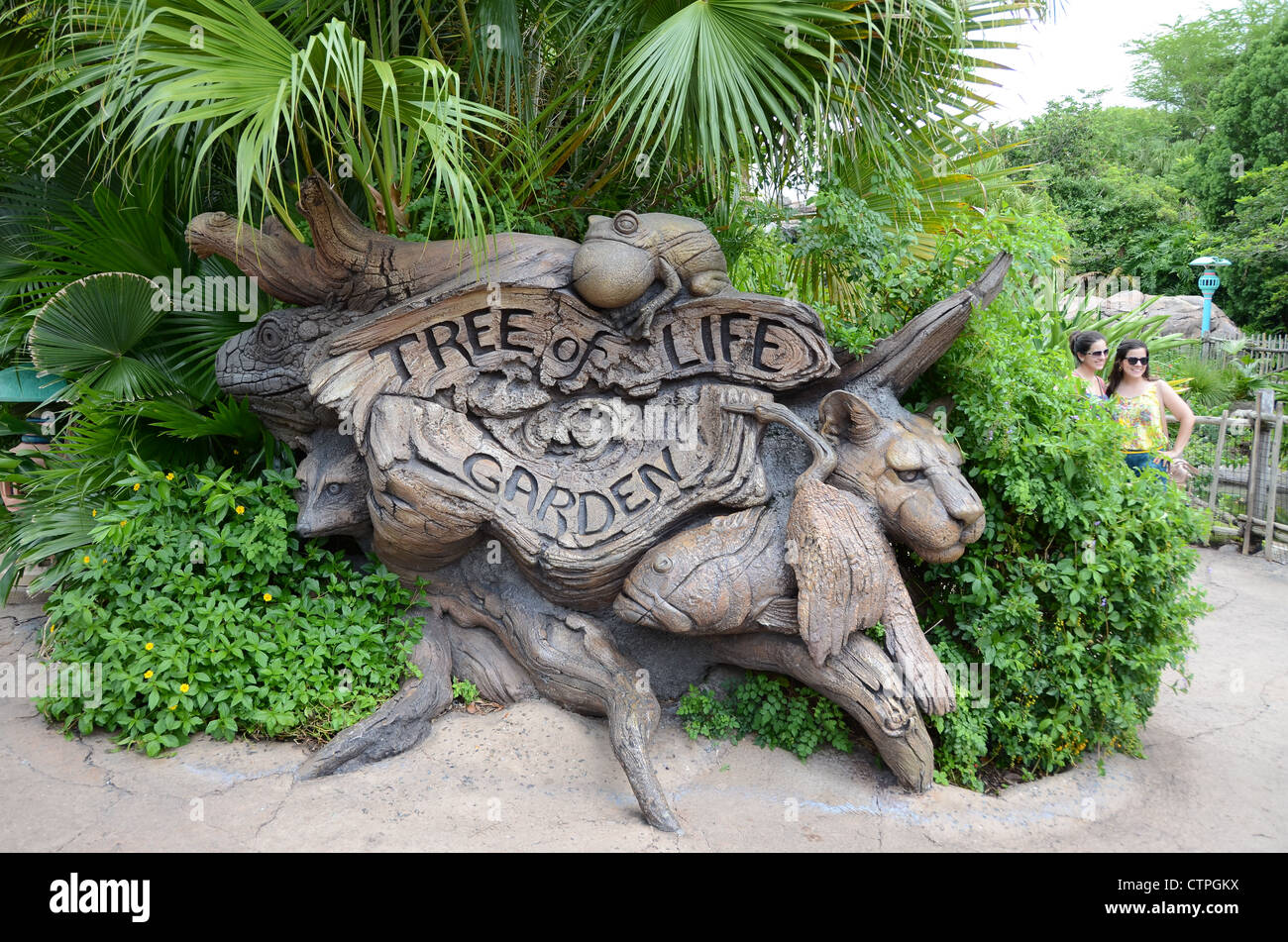 Tree of Life at Disney's Animal Kingdom Orlando Florida Stock Photo - Alamy