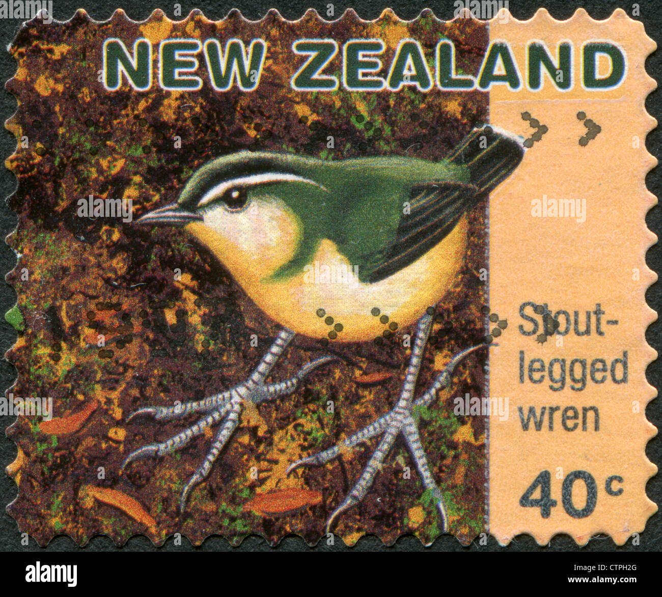 Postage stamps printed in New Zealand, shows a bird Stout-legged Wren ...