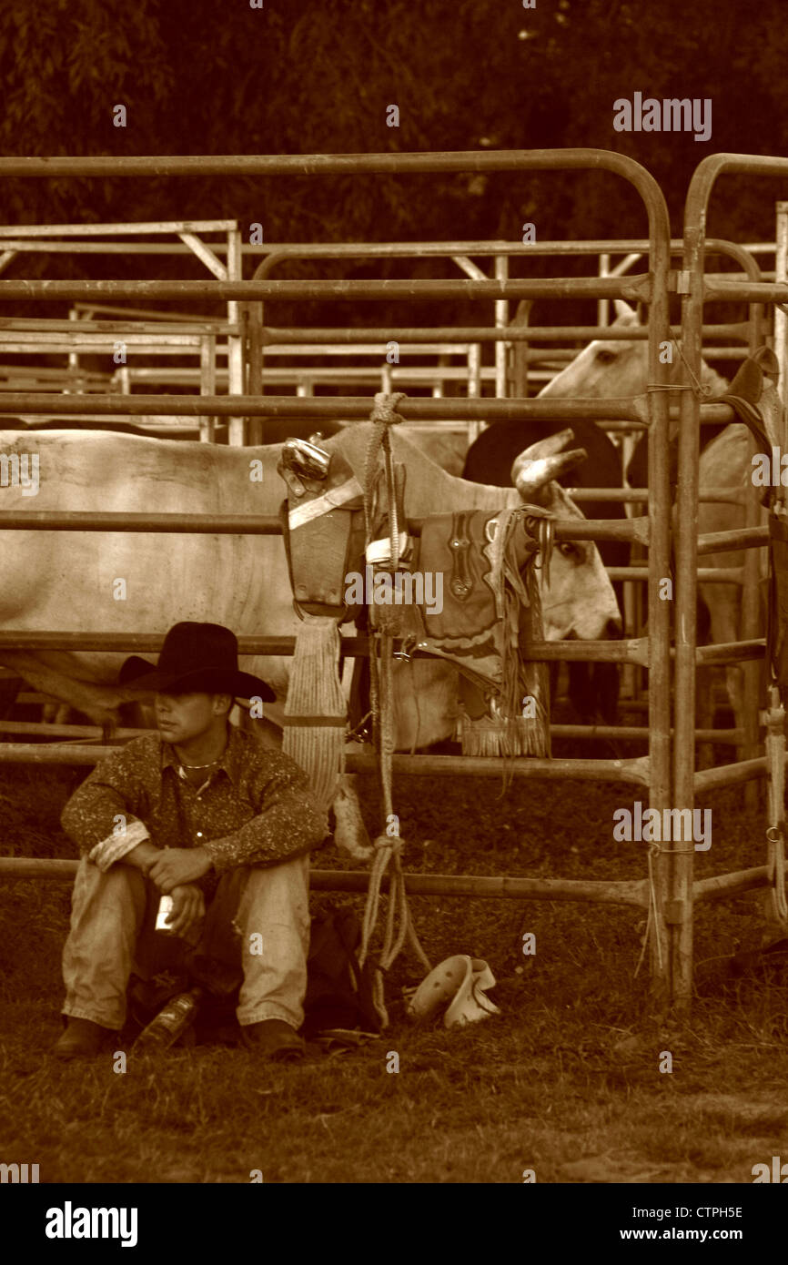 Rodeo scene, Queensland, Australia Stock Photo - Alamy