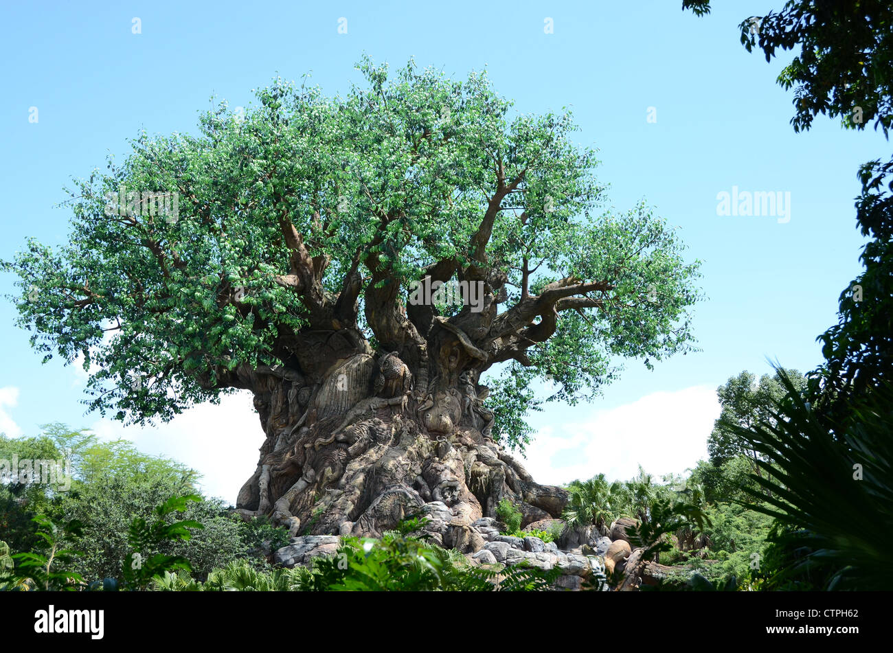Tree of Life at Disney's Animal Kingdom Orlando Florida Stock Photo - Alamy