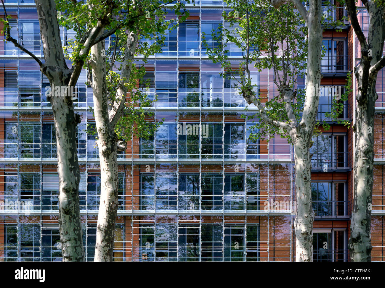 Cite Internationale In Lyon Lyon France Architect Unknown Stock Photo ...