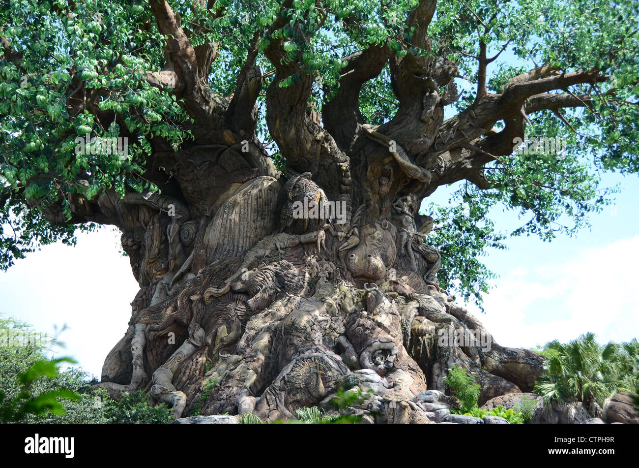 Lion King Tree Of Life