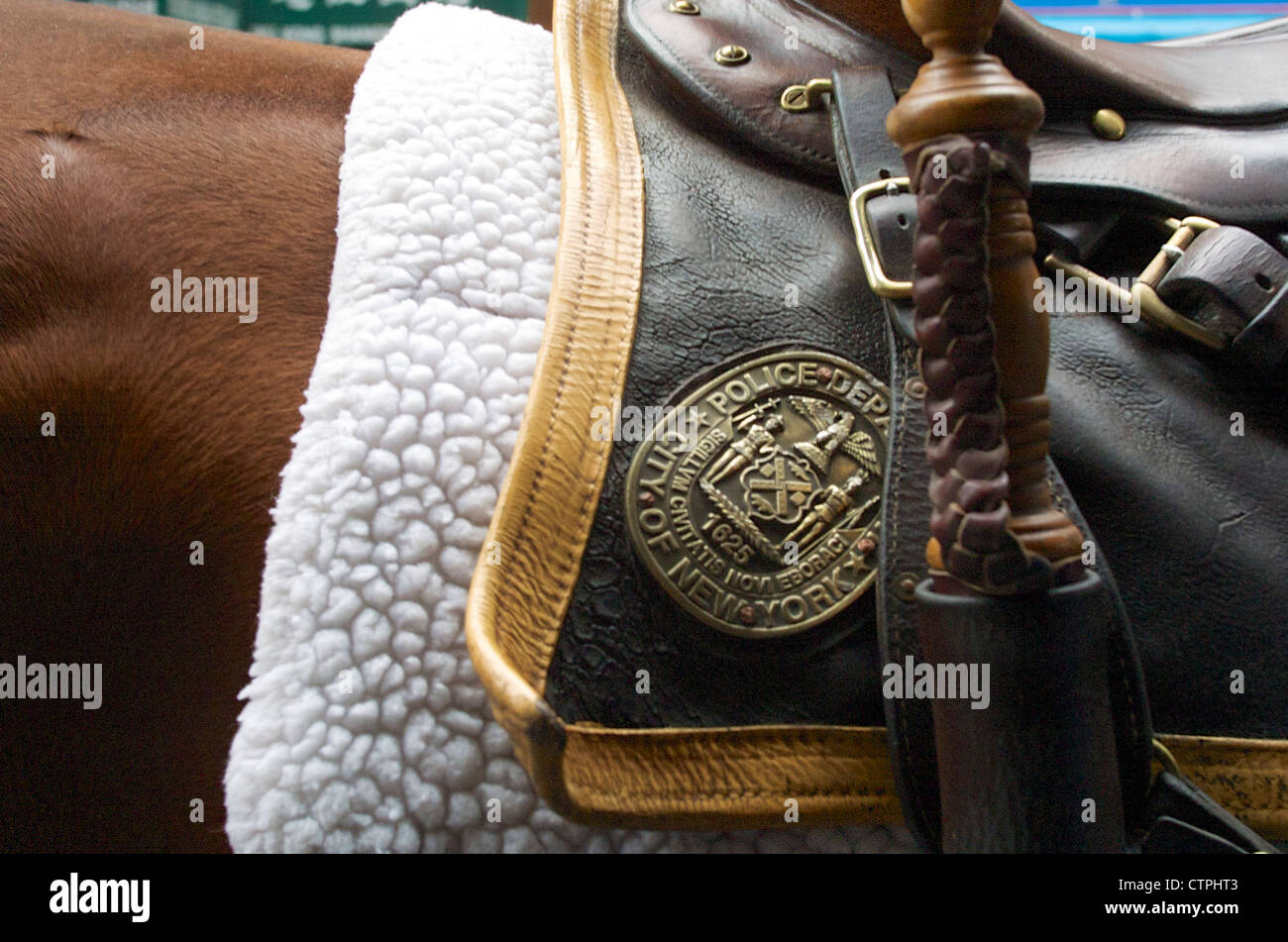 Nypd mounted unit High Resolution Stock Photography and Images - Alamy