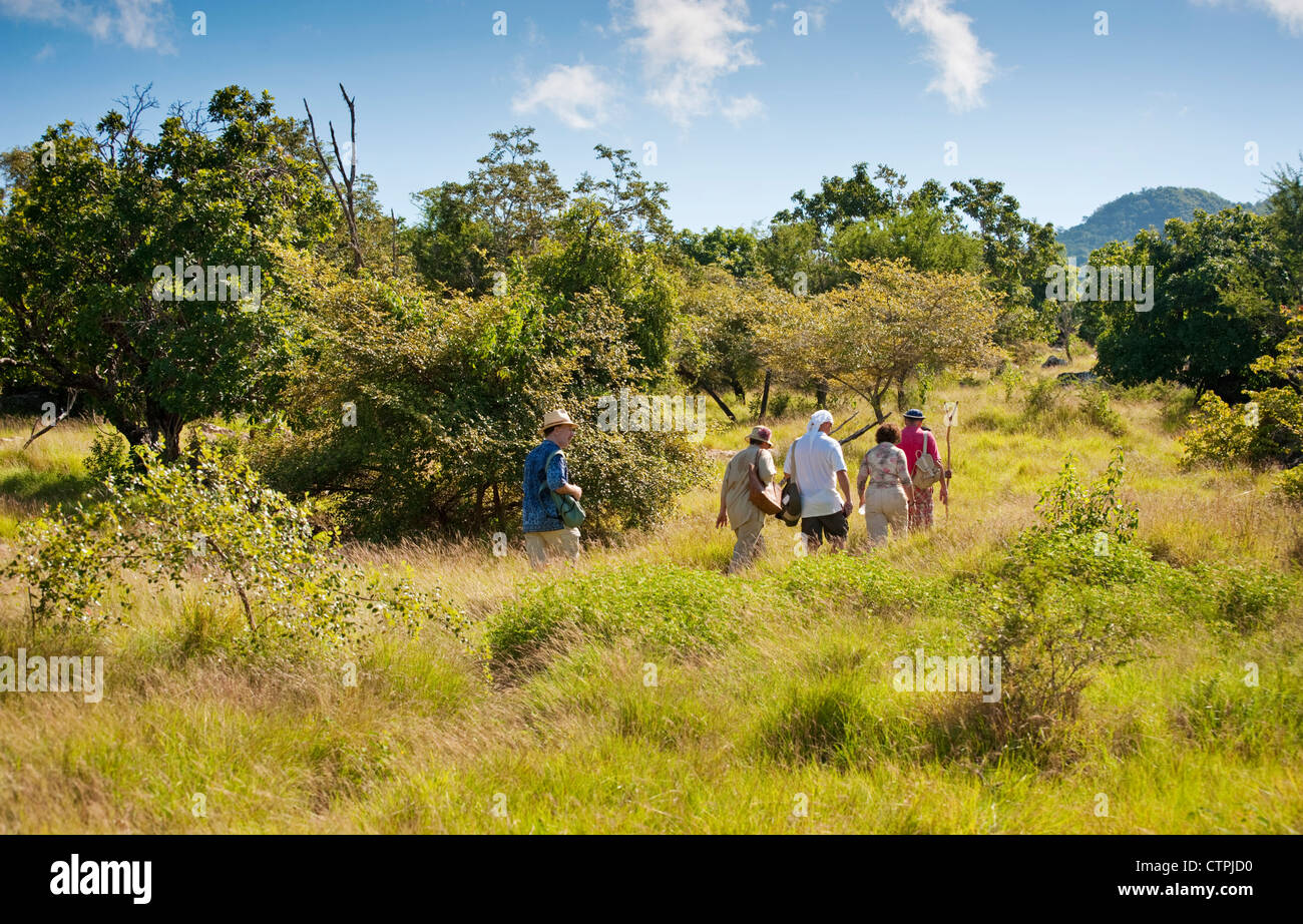 Hiking with a guide on Rinca Island in Komodo National Park in search ...