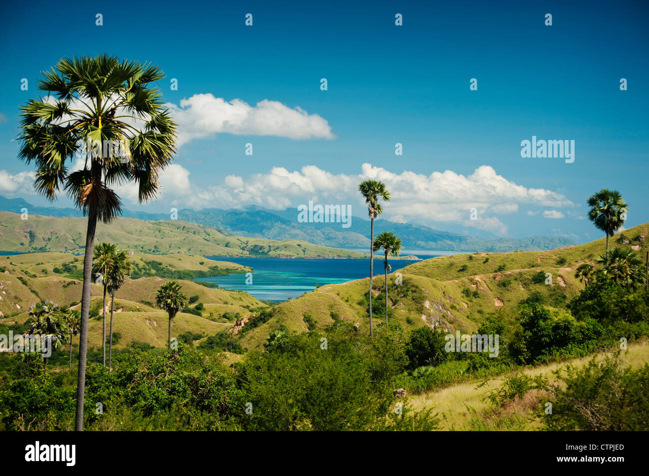 Rinca Island is a part of Indonesia's Komodo National Park and home to ...