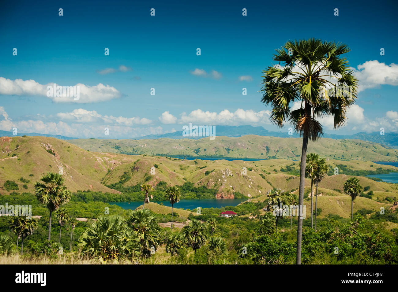 Rinca Island is a part of Indonesia's Komodo National Park and home to ...