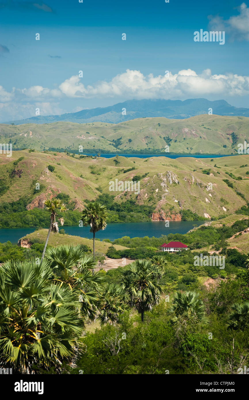 Rinca Island is a part of Indonesia's Komodo National Park and home to ...