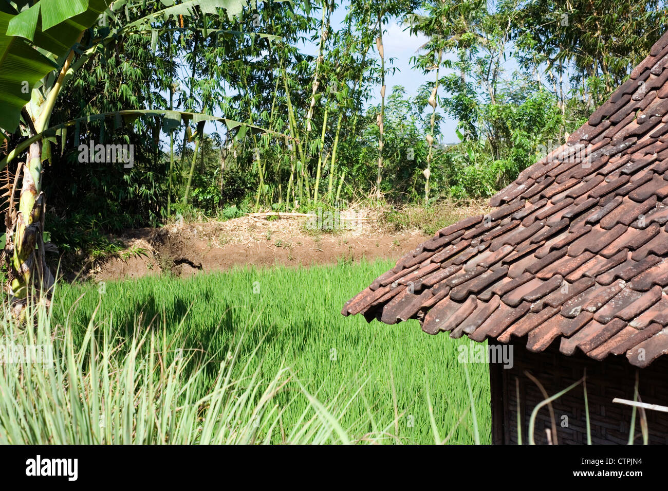 Rural roof tiles hi-res stock photography and images - Alamy