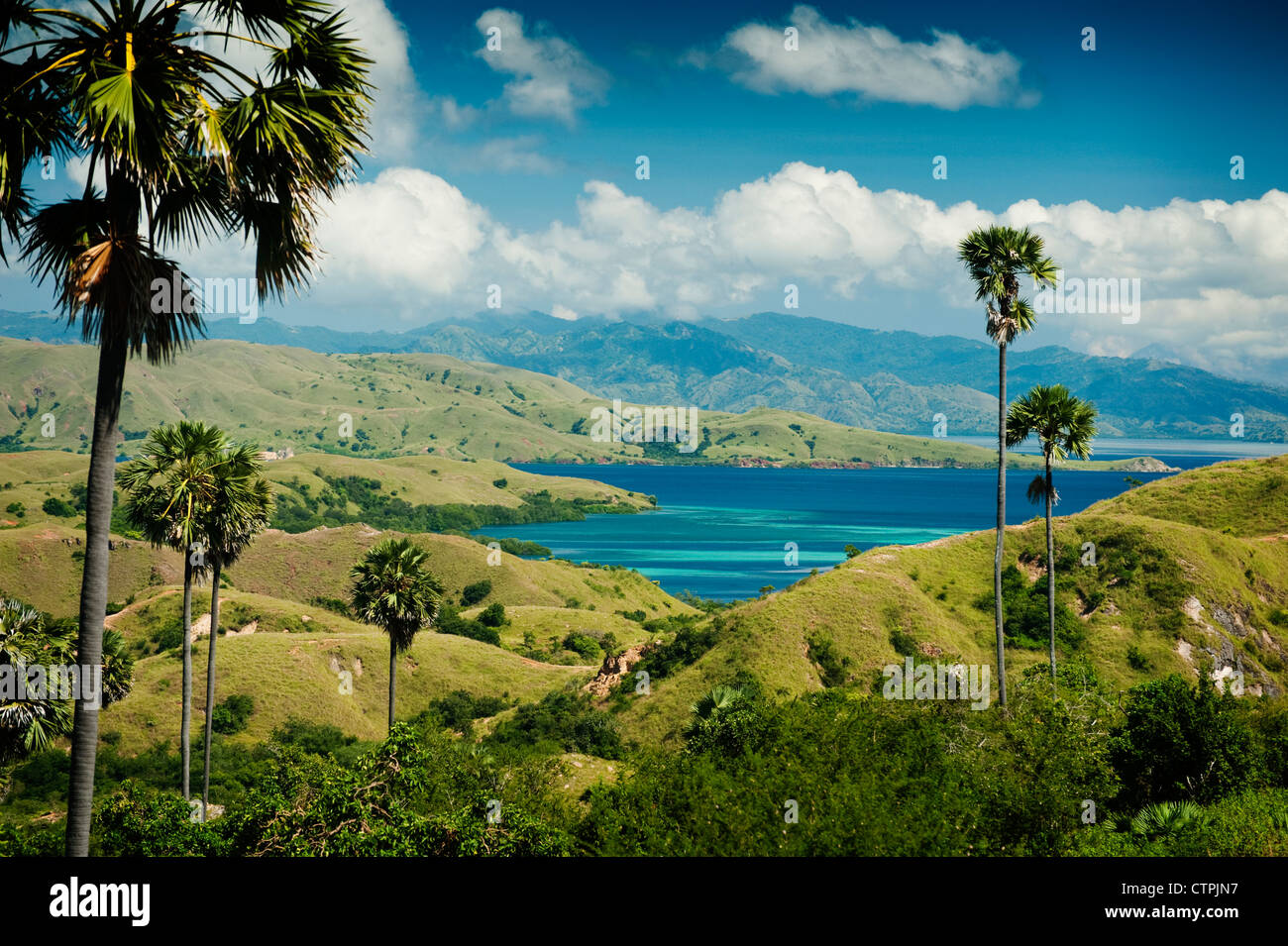 Rinca Island is a part of Indonesia's Komodo National Park and home to ...