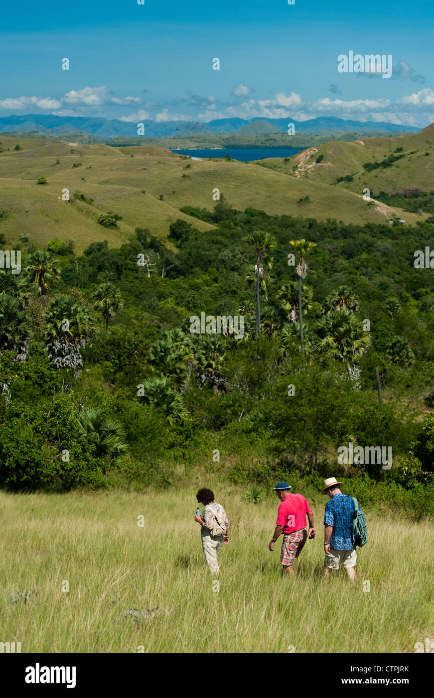 Hiking with a guide on Rinca Island in Komodo National Park in search ...