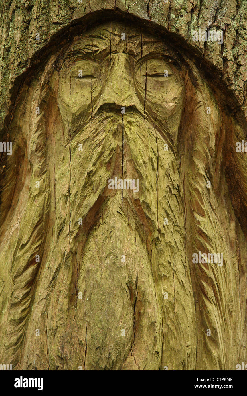 The green man hi-res stock photography and images - Alamy