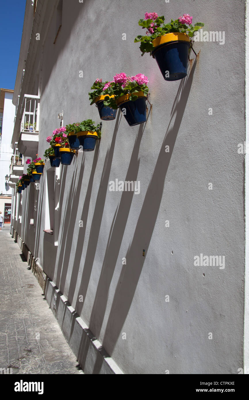 City of Cadiz, Spain. Picturesque street view of plant pots at Calle ...
