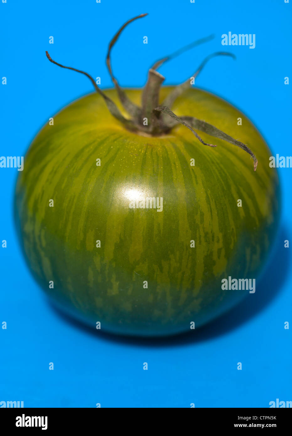 Green Zebra Tomato Stock Photo - Alamy