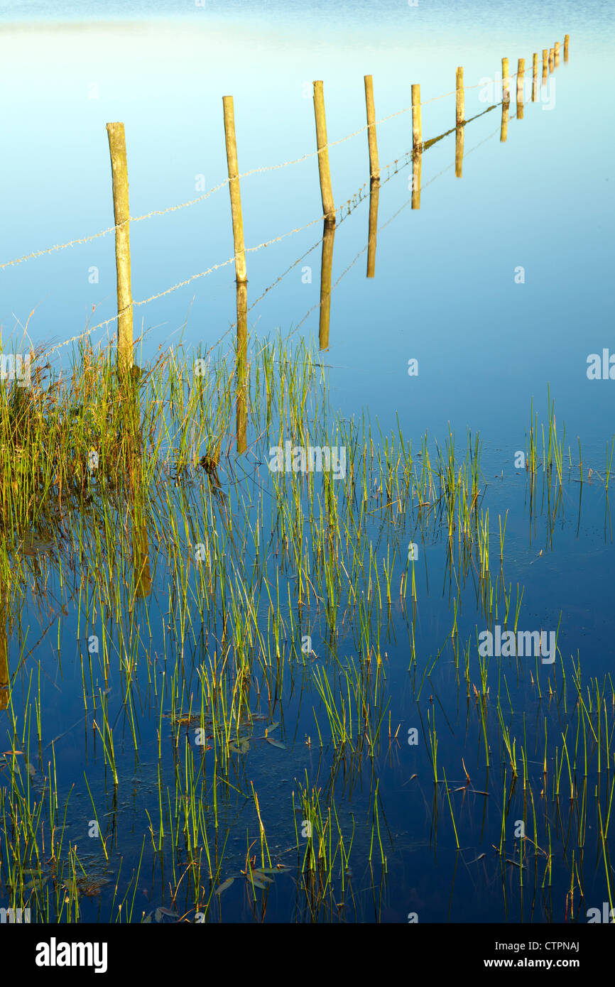 Kenfig dunes nature reserve hi-res stock photography and images - Alamy