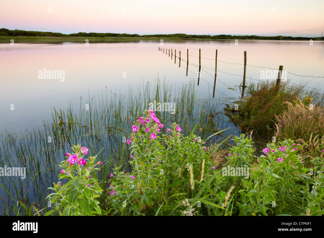 Kenfig Pool, Kenfig, Porthcawl, Bridgend, South Wales Stock Photo - Alamy