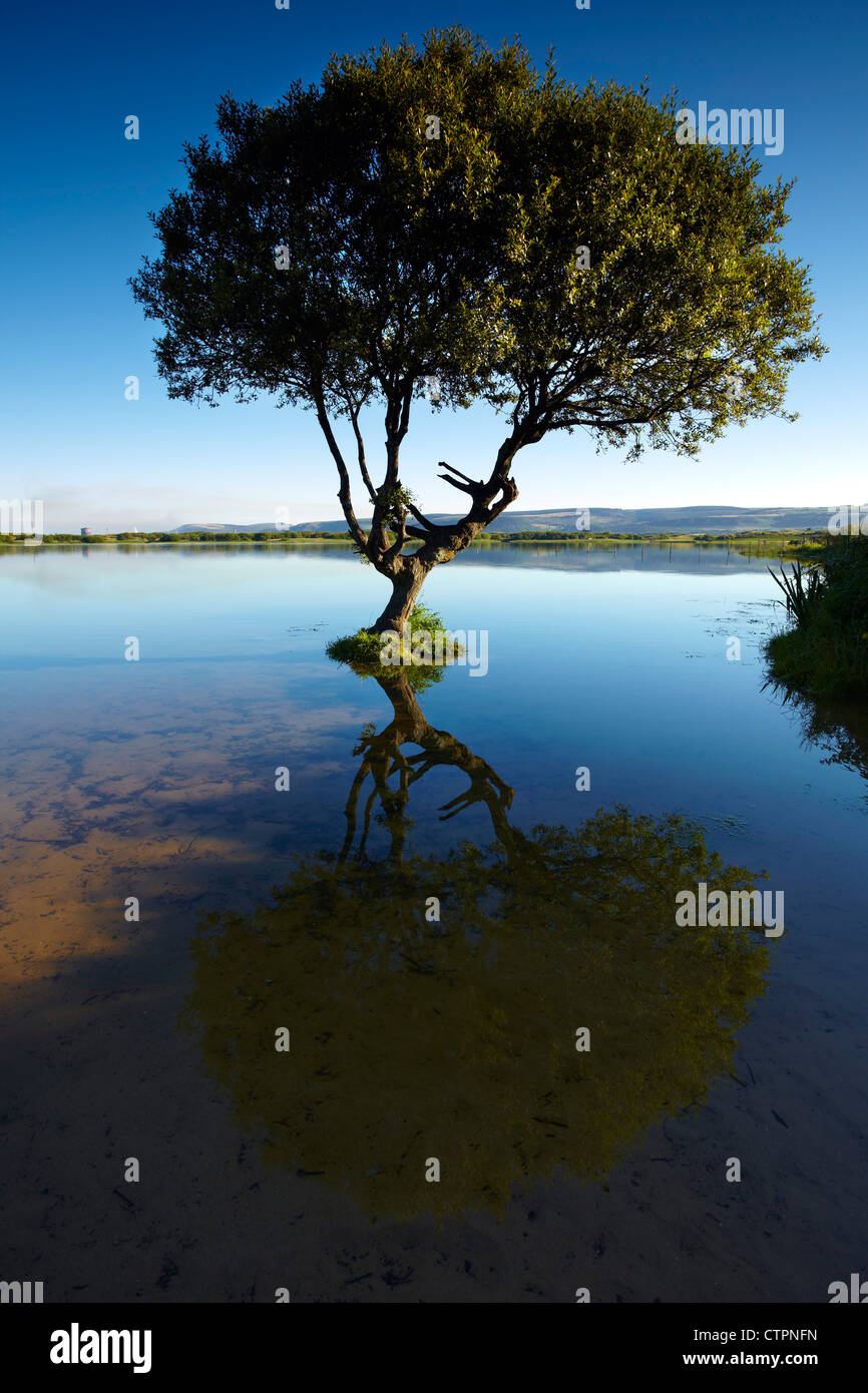 Kenfig pool hi-res stock photography and images - Alamy
