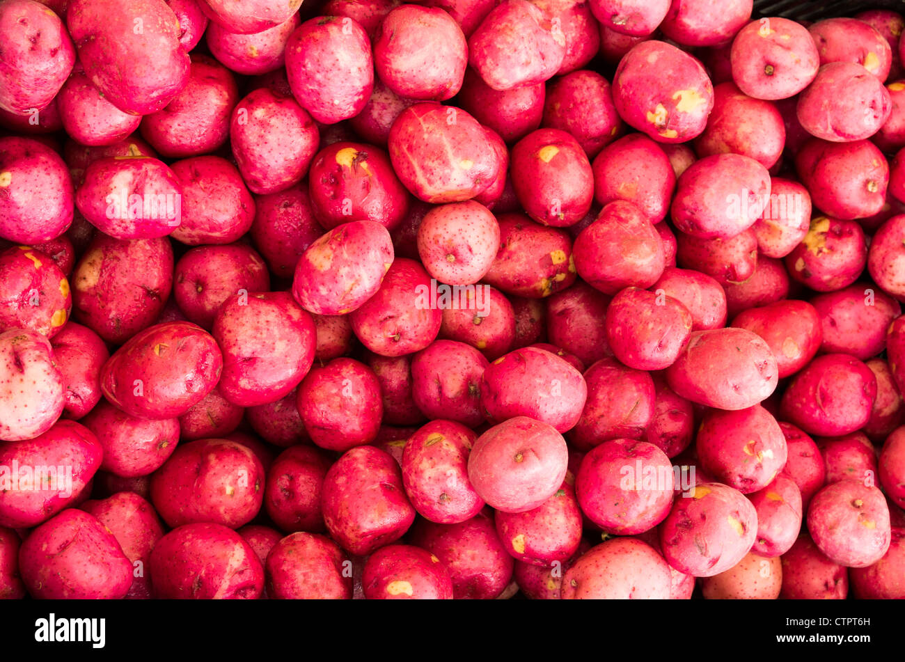 Freshly picked red potatoes on display at the farmers market Stock ...