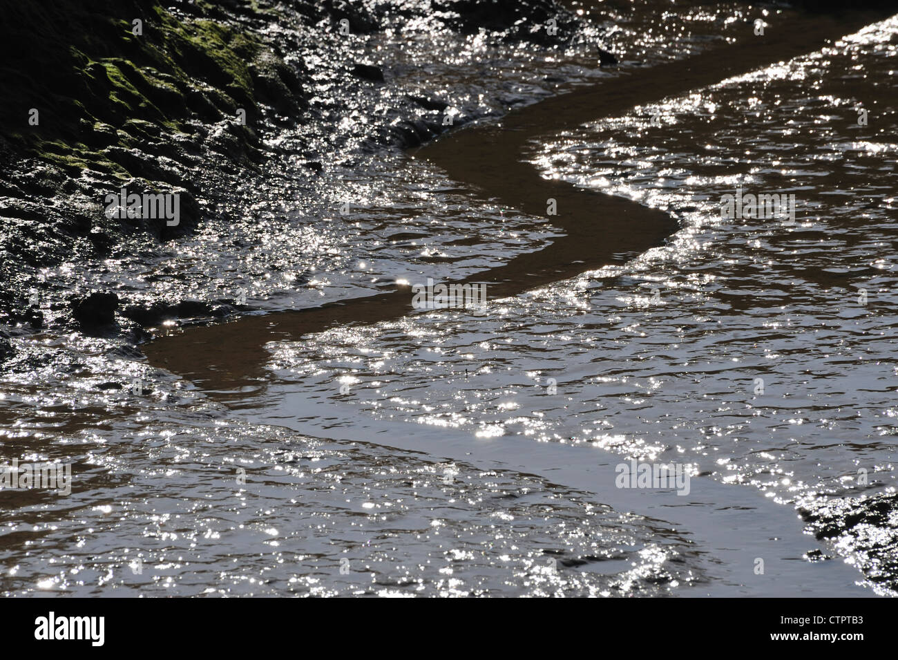 Water stream in the mud, West Mersea, UK Stock Photo - Alamy