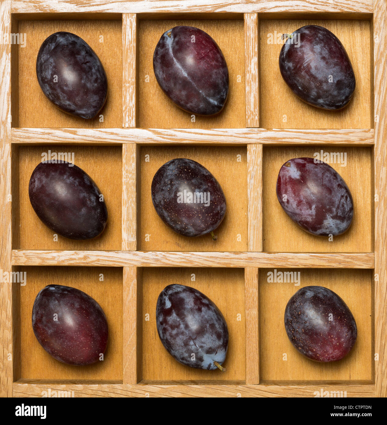 Fresh prune plums on display in a shadow box Stock Photo - Alamy