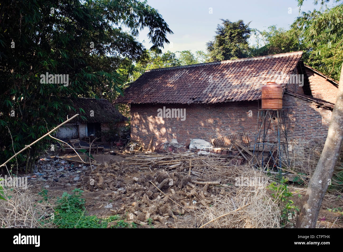 traditional rural village house and garden java indonesia Stock Photo ...