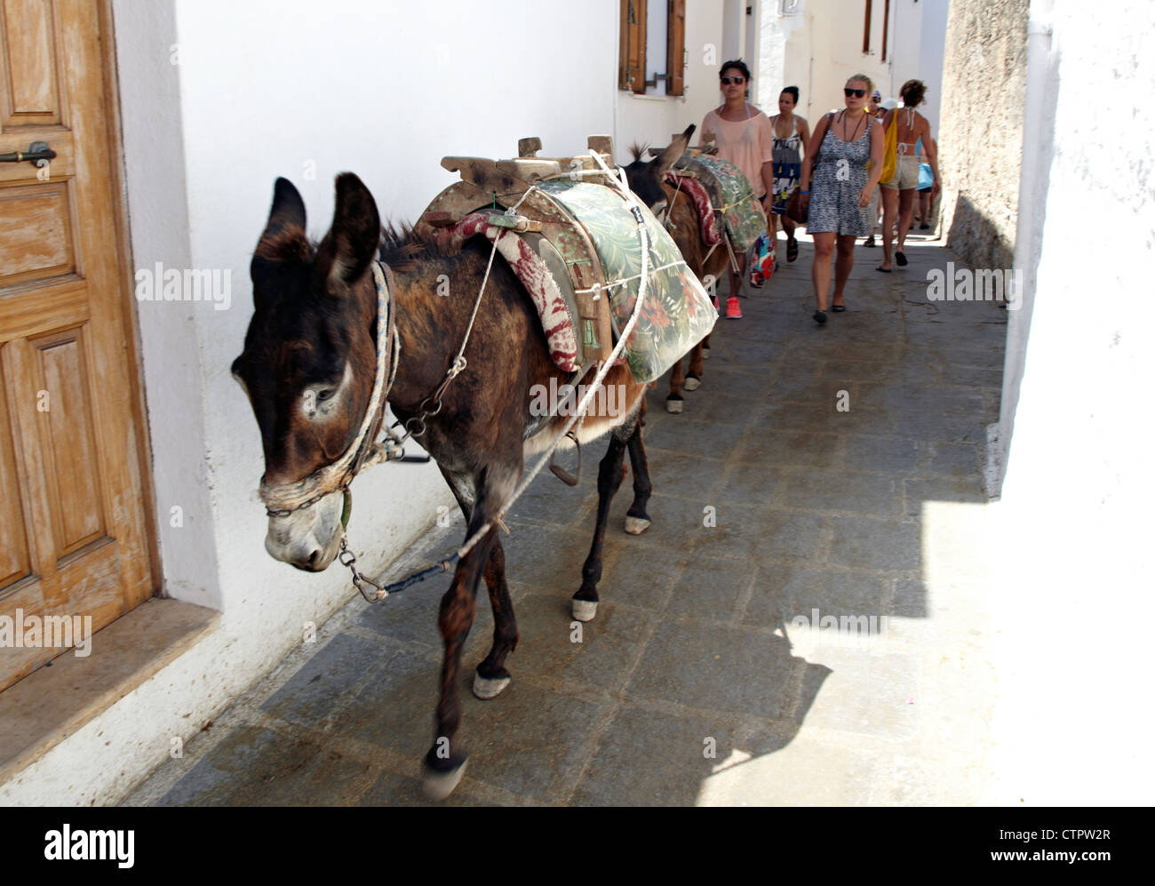 Donkeys Lindos Rhodes Greek Islands Greece Stock Photo - Alamy