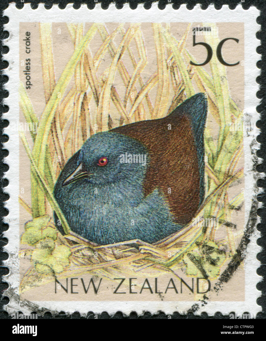 NEW ZEALAND - CIRCA 1991: Postage stamps printed in New Zealand, shows ...