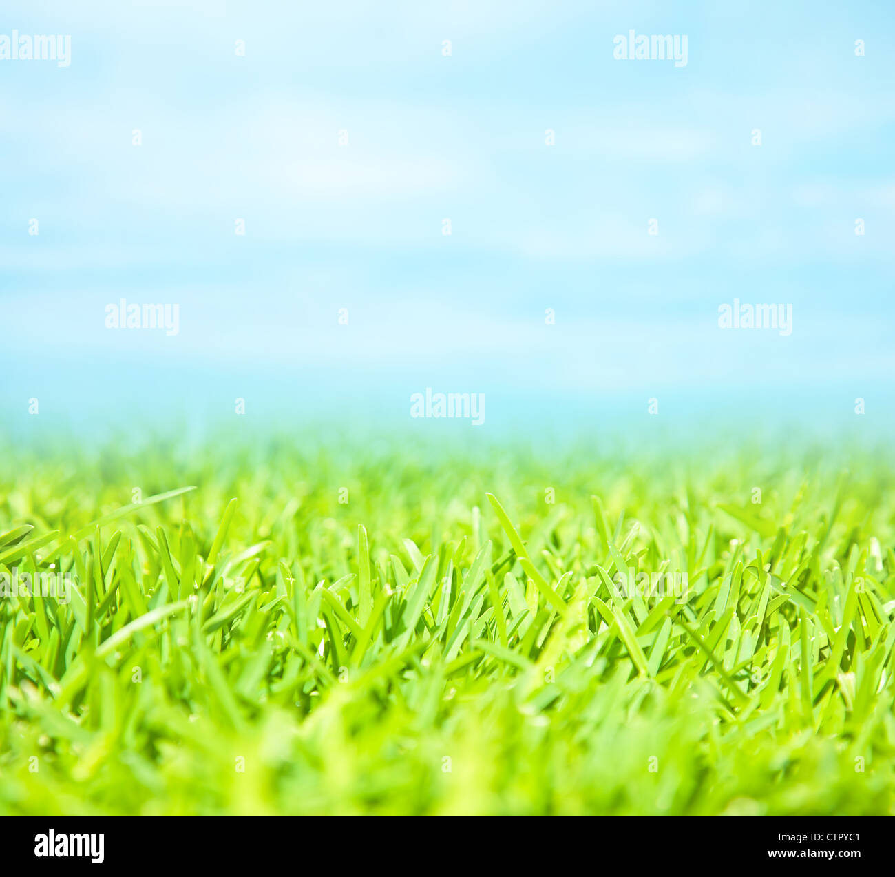 Abstract natural background, fresh summer green grass field and ...