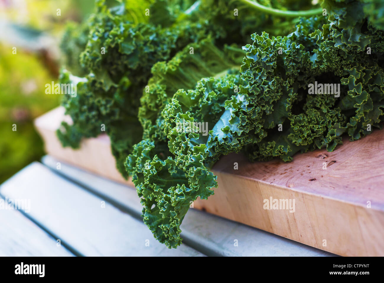 This is an image of Kale Stock Photo - Alamy