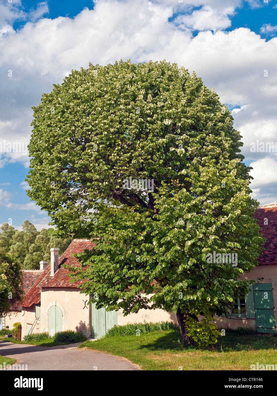 French farmhouse hi-res stock photography and images - Alamy