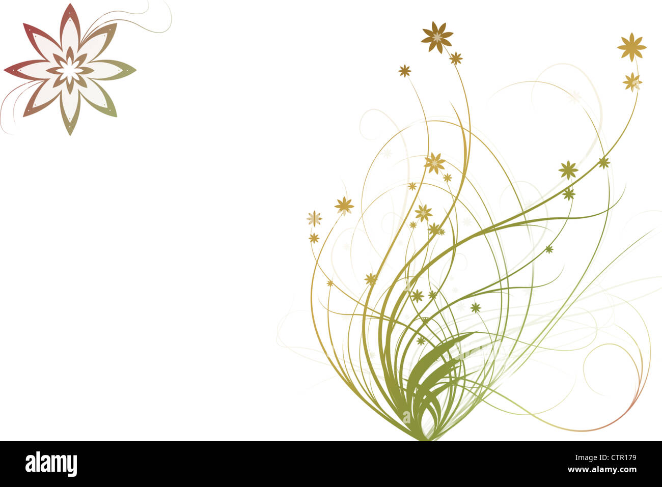 Beautiful illustrated flower background design with space for your text ...