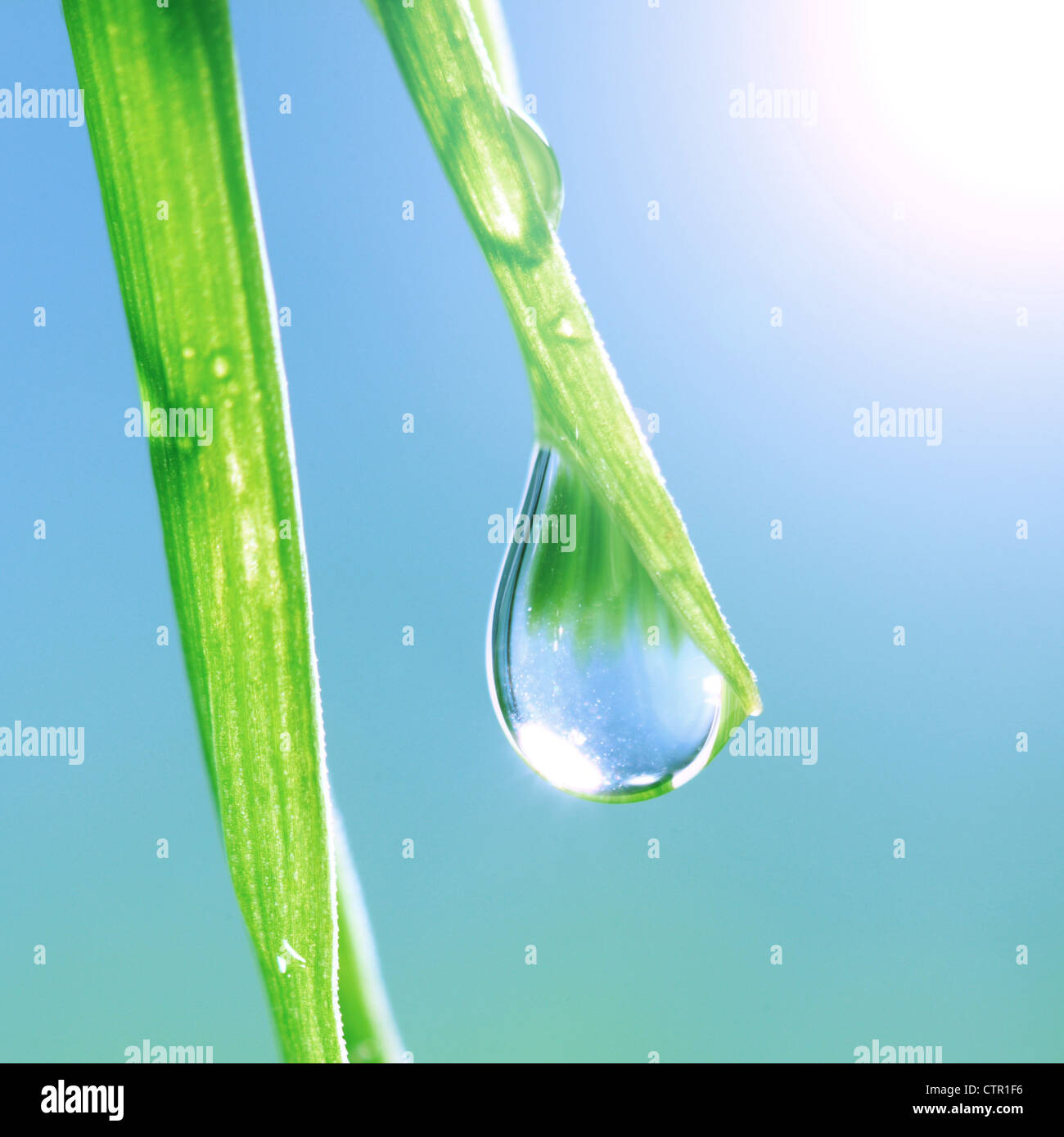 water drop shine in sun light Stock Photo - Alamy