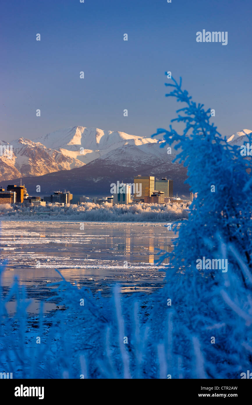 Hoarfrost covers trees along Anchorage skyline icy Cook Inlet in ...