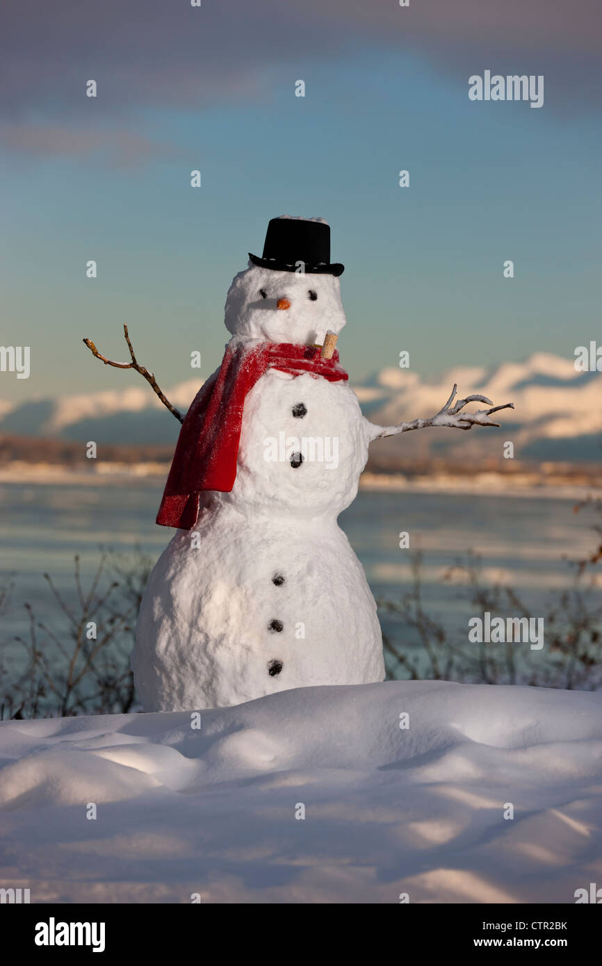 Snowman with Chugach Mountains and Cook Inlet in the background ...