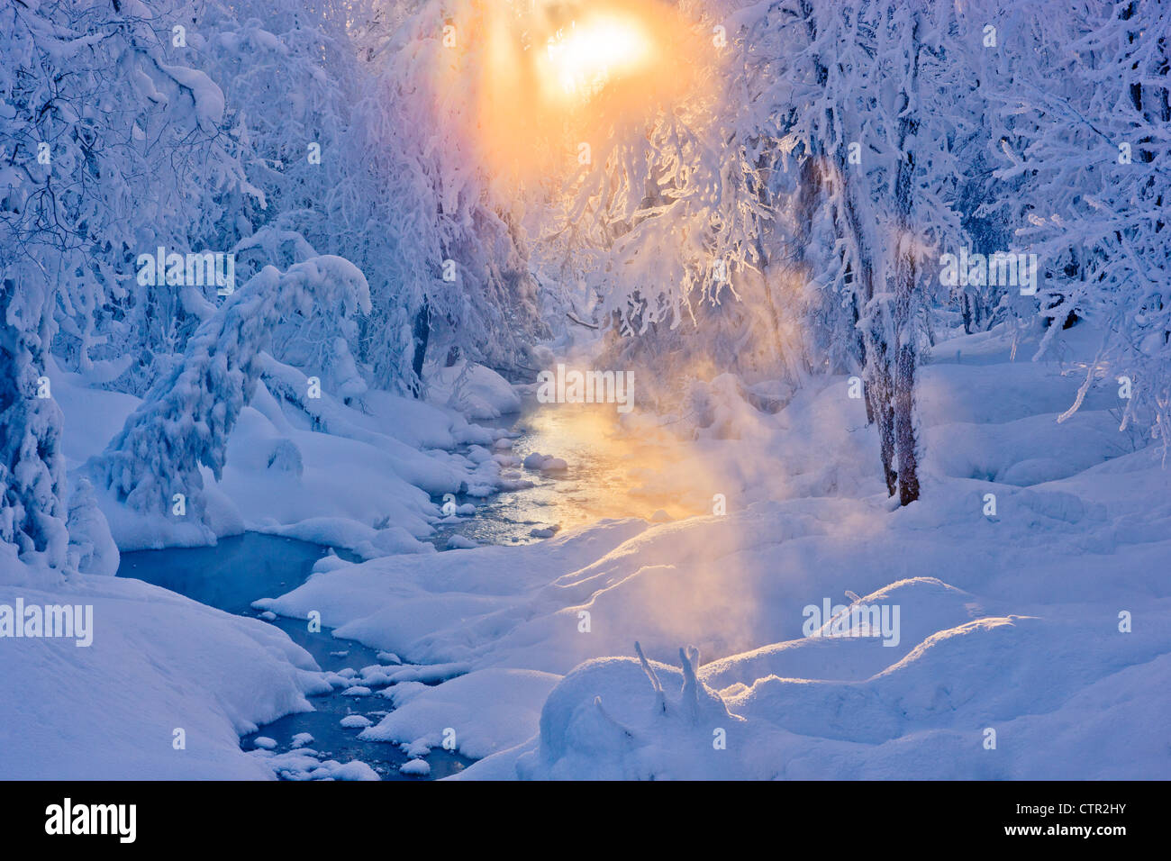 Small stream in hoarfrost covered forest rays sun filtering through fog ...